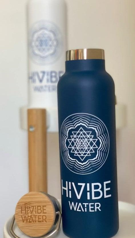650ml Stainless Steel HiVibe Vessel – Hi Vibe Water | Alkaline and Pure ...